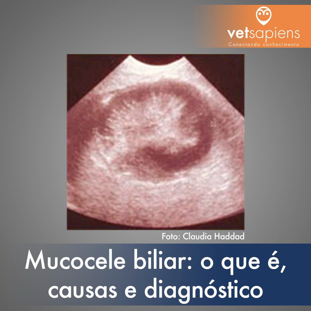 PODCAST - Mucocele biliar: o que é, causas e diagnóstico - Vetsapiens