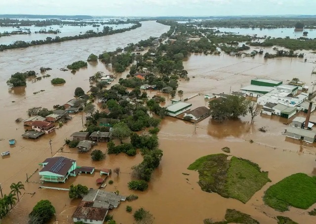 CRMV-RS alerta para risco de zoonoses e necessidade de cuidado com ...